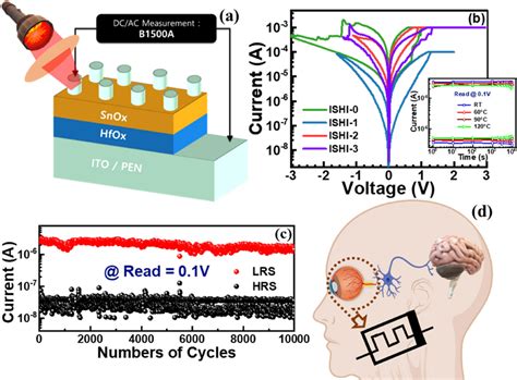 A Schematic Architecture Of Our All Oxide Optoelectronic Synapse And Download Scientific
