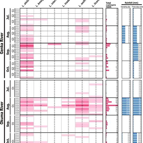 Schematic View Of The Procedure Of Library Preparation For