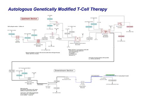 Autologous T Cell Production Process Flowsheet Flow Chart Download Scientific Diagram