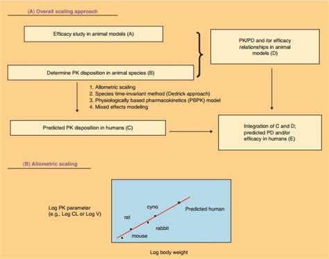 Prediction Of Human Pkpd Based On Preclinical Information