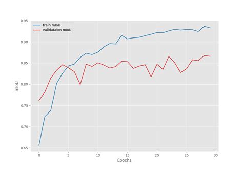 Fine Tuning Mask2former On Custom Dataset