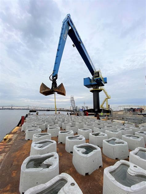 Galería De Los Rompeolas Vivientes De Scape Ganan El Premio Obel 2023 5