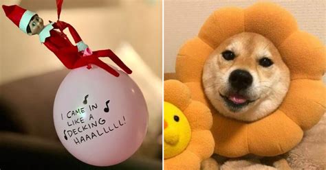 40 Funny Andor Random Pictures That Are The Perfect Antidote To A