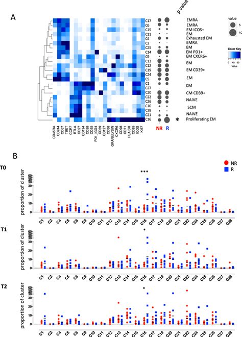 High Dimensional Single Cell Analysis Of Cd8⁺ T Cells Identifies Higher Download Scientific