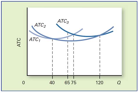 Solved Long Run Costs Suppose The Firm Has Only Three Possible Sc