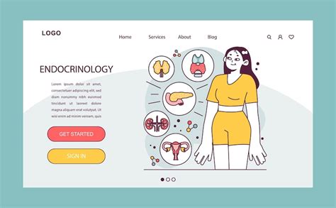 Endocrinología Banner Web O Página De Aterrizaje órganos Del Sistema