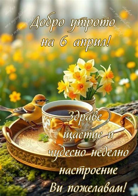Картички с поздрави от сърце Добро утро Прекрасна неделя Facebook