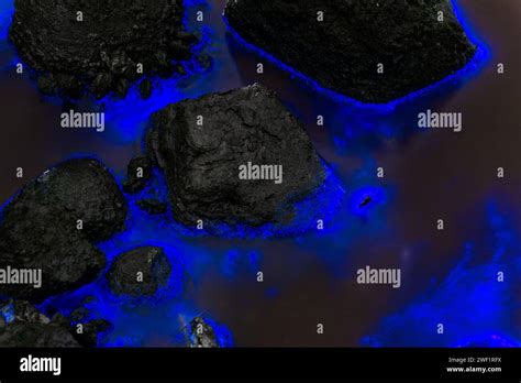 Sea Sparkle Noctiluca Scintillans Blue Glowing Algae In Water At Night In The Derwent River