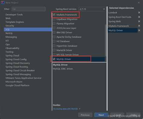【mybatis】如何使用 Mybatis 操作数据库mybatis 启动项目创建数据库连接 Csdn博客