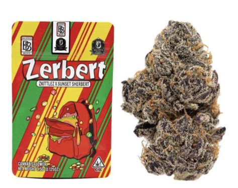 Zerbert Strain For Online Tetra Hydro Cannabinol House
