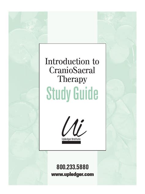 Introductionto Cranio Sacral Therapy Pdf Pulse Pelvis