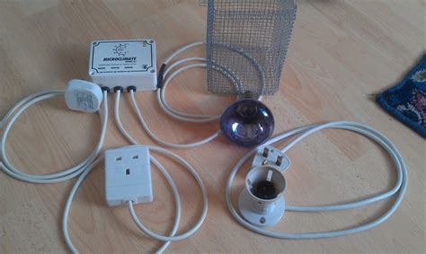 Set Up A Heat Bulb And Thermostat Enigma Reptiles