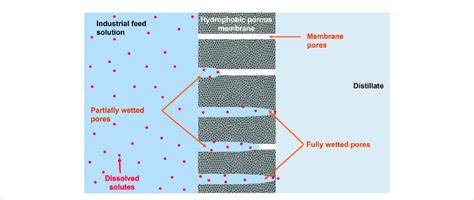 Graphical Representation Of Membrane Pore Wetting Experienced In Mdc Download Scientific Diagram