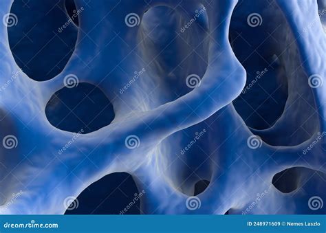 Normal Bone Illustration 79933200