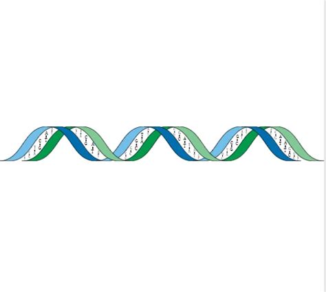 Custom Oligo Synthesisoligo Syntheis Servicerandom Primer N6 Buy