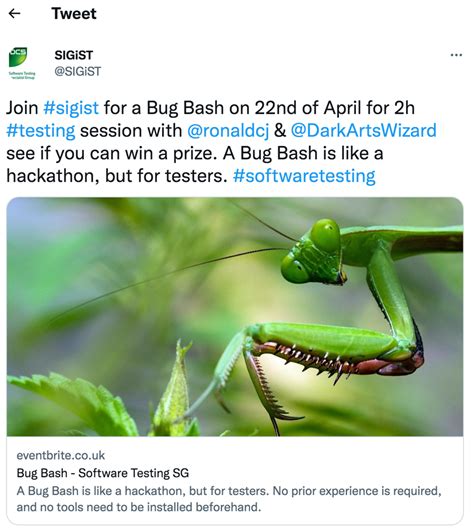 How To Run A Successful Bug Bash
