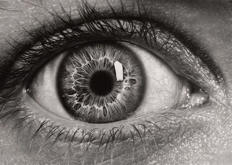 Reference Image Eye Drawing Art By Ali Haider Eyes Artwork Eye