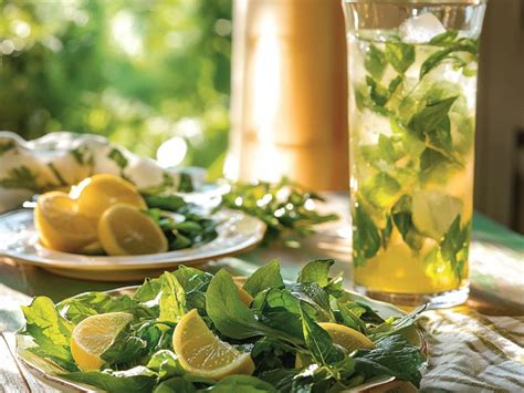 12 Reasons You Need To Start Growing Lemon Balm Right Now Complete