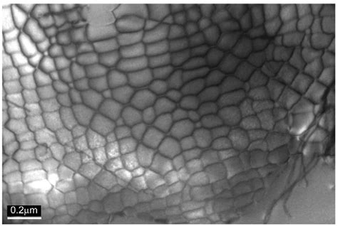5 Tem Micrograph Of Interfacial Dislocation Network In γ γ Interface