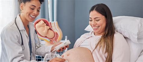 Metodologia Do Exame De Sexagem Fetal Entenda Sp Labor