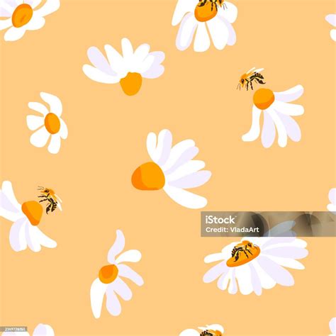 여름 패턴 데이지 꿀벌 노란색 배경입니다 곤충 흰 꽃 장식 완벽 한 디자인 정사각형 엽서 템플릿 벡터 데이지 화환에 대한 스톡 벡터 아트 및 기타 이미지 Istock