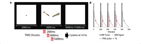 A Schematic Diagram Of Experimental Design Fixation Cue Stimuli Download Scientific