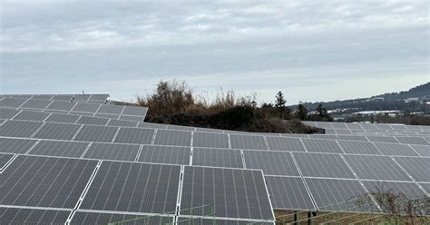 전기위 출력제어 미이행 태양광 발전 사업자 8곳에 과징금