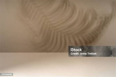 제품 프레젠테이션을 위한 열대 잎 그림자 빈 배경 구성입니다 배경은 베이지색입니다 아름 다운 유행 색상 배경입니다 가을 단풍에 대한 스톡 사진 및 기타 이미지 Istock