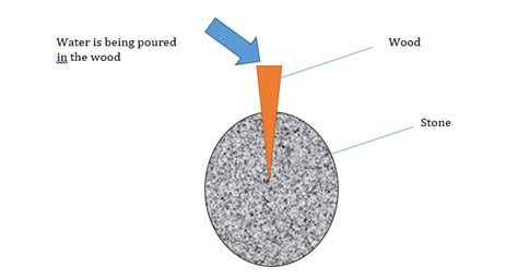 Solution Types Plasmolysis And Imbibition Plantlet