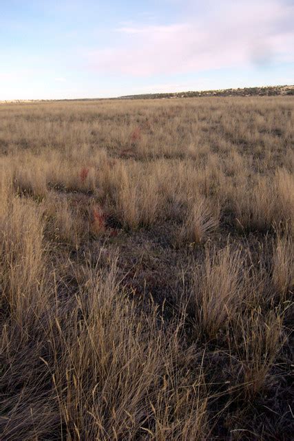 Bd3 A1148 A1 Ef 4 D6 E 8 D3 D 2922 Fe8 A0 Bdf Hosted At Imgbb — Imgbb