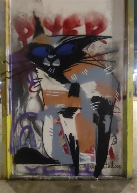 A High Patchy Cat What Is Bad On This One Rgraffhelp