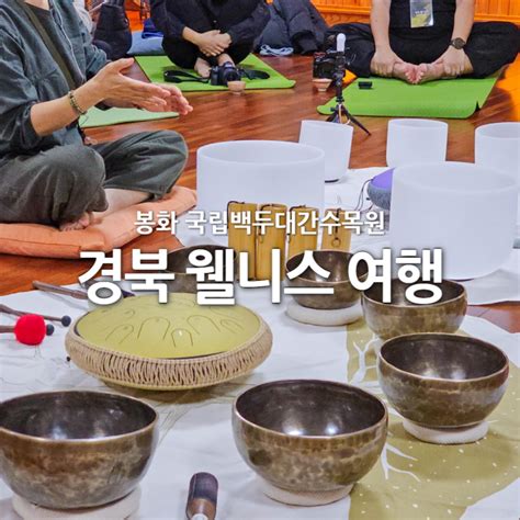 경북 봉화 웰니스 여행 국립백두대간수목원 네이버 블로그