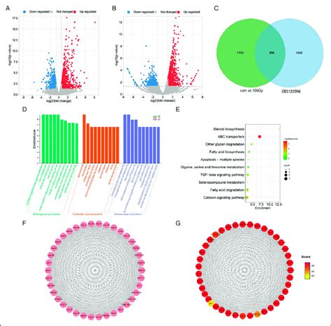 Bioinformatics Analysis Results A Volcano Map Of Transcriptomics