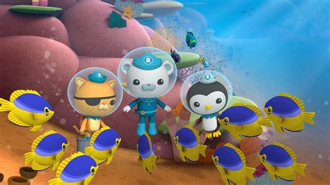Octonauts 9 Story Media Group