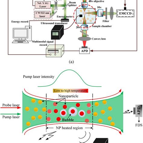 Schematic Of The Experimental System And Principle A The Multimodal