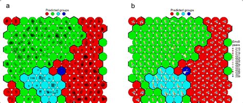 Unsupervised Kohonen Self Organizing Network Analysis Of Emsb Profile Download Scientific