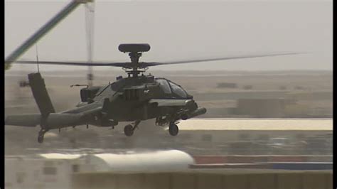 Do Batty Videos And Hd Footage Getty Images