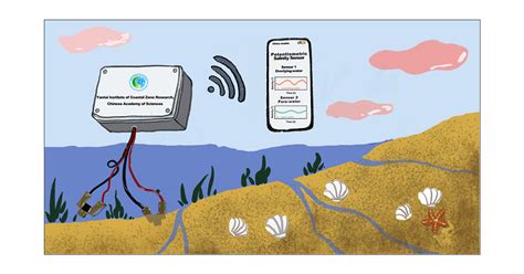 In Situ Continuous Measurement Of Salinity In Estuarine And Coastal Sediments By All Solid