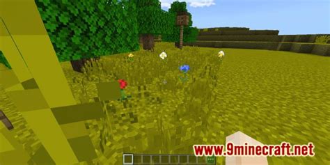 Csrs Shader 119 118 Cookie Shader Renderdragon Support Mc Modnet
