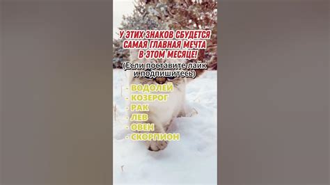 Знаки зодиака в постели и их активность гороскоп Astrology астрология знакизодиака Youtube