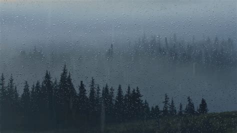 Thunderstorm With Heavy Rain Sounds