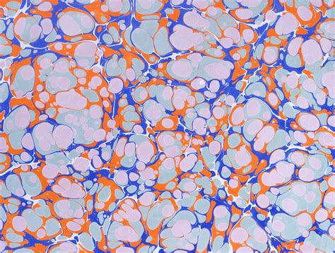 What Is Difference Between Oval And Oblong At Skye Dyason Blog