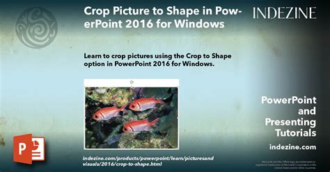 Crop Picture To Shape In PowerPoint For Windows