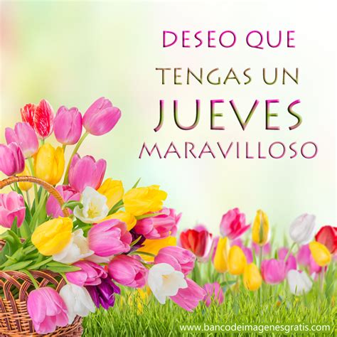 Banco De Imágenes Gratis 12 Postales De Feliz Jueves Con Flores Y