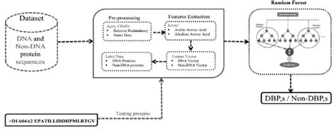 Proposed Framework For Prediction Of Dbps And Non Dbps Download