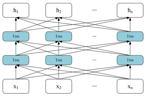 Network Structure Of Bert Model Download Scientific Diagram
