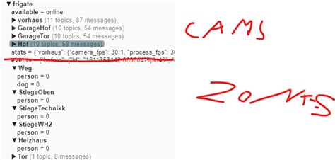 Zones · Issue 24 · Blakeblackshear Frigate Hass Integration · Github