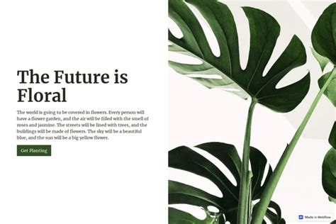 This Full Bleed Layout Is Legit And Responsive Webflow