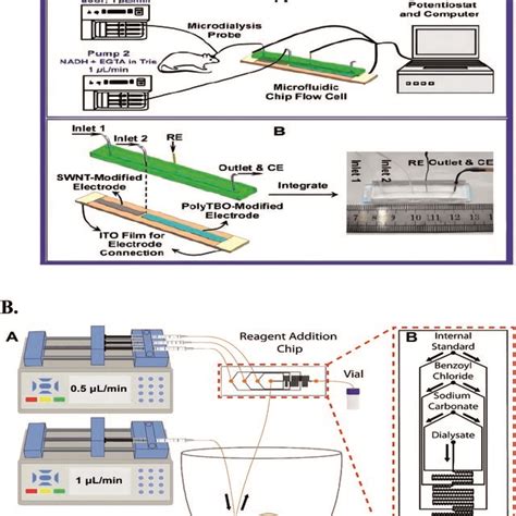A Scheme A Schematic Illustration Of The Microfluidic Chip Based Download Scientific
