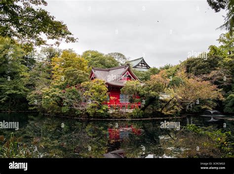 Horizontal Picture Of Inokashira Park And Benzaiten Shrine With Calm